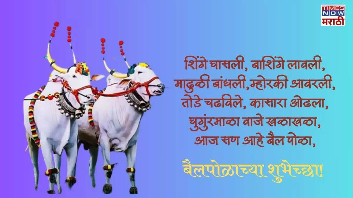Bail Pola 2024 Quotes in Marathi: जिवा शिवाची बैल जोड... हे शुभेच्छा ...