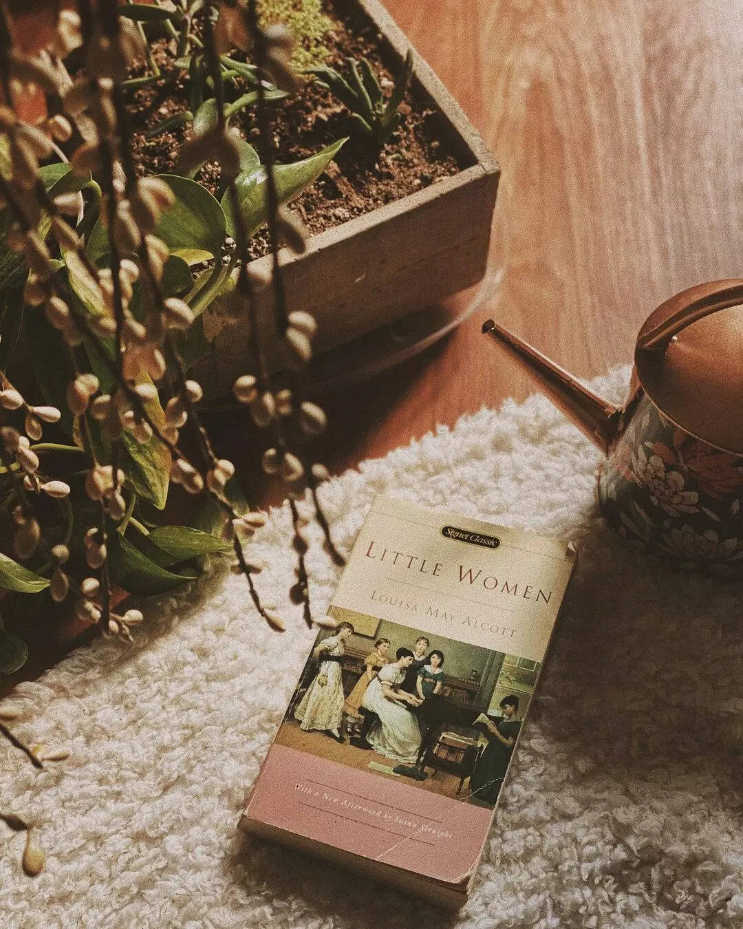 Popular Cozy Autumn Books: 12 Cozy Books to Curl Up With This Fall for ...