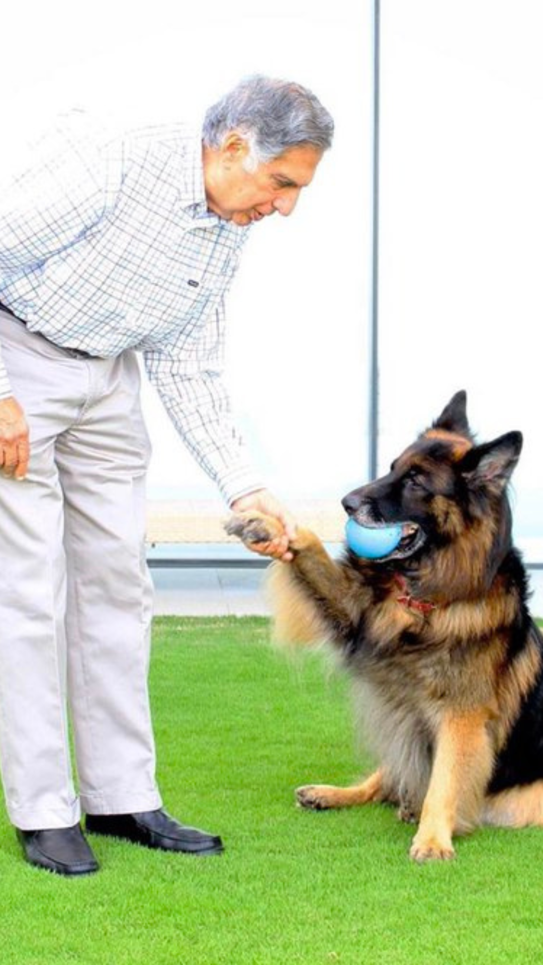 Ratan Tata WhatsApp Status: Best HD Images And Quotes To Honor Tata ...