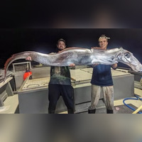 World News: Latest World News, Breaking World News Headlines