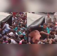 Meaning of Taz, Baby Name Taz Meaning, Lucky Number, Gender, Origin and ...