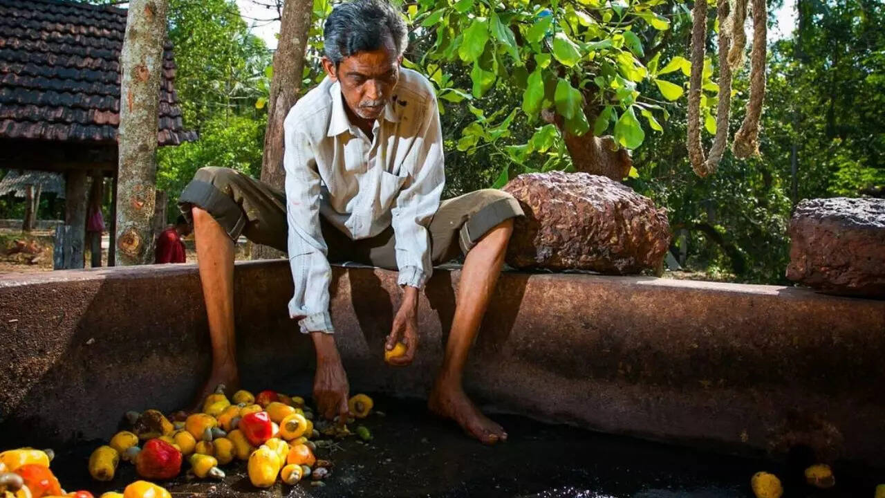 Best Places To Visit In Goa In December: 7 Offbeat Experiences In Goa ...