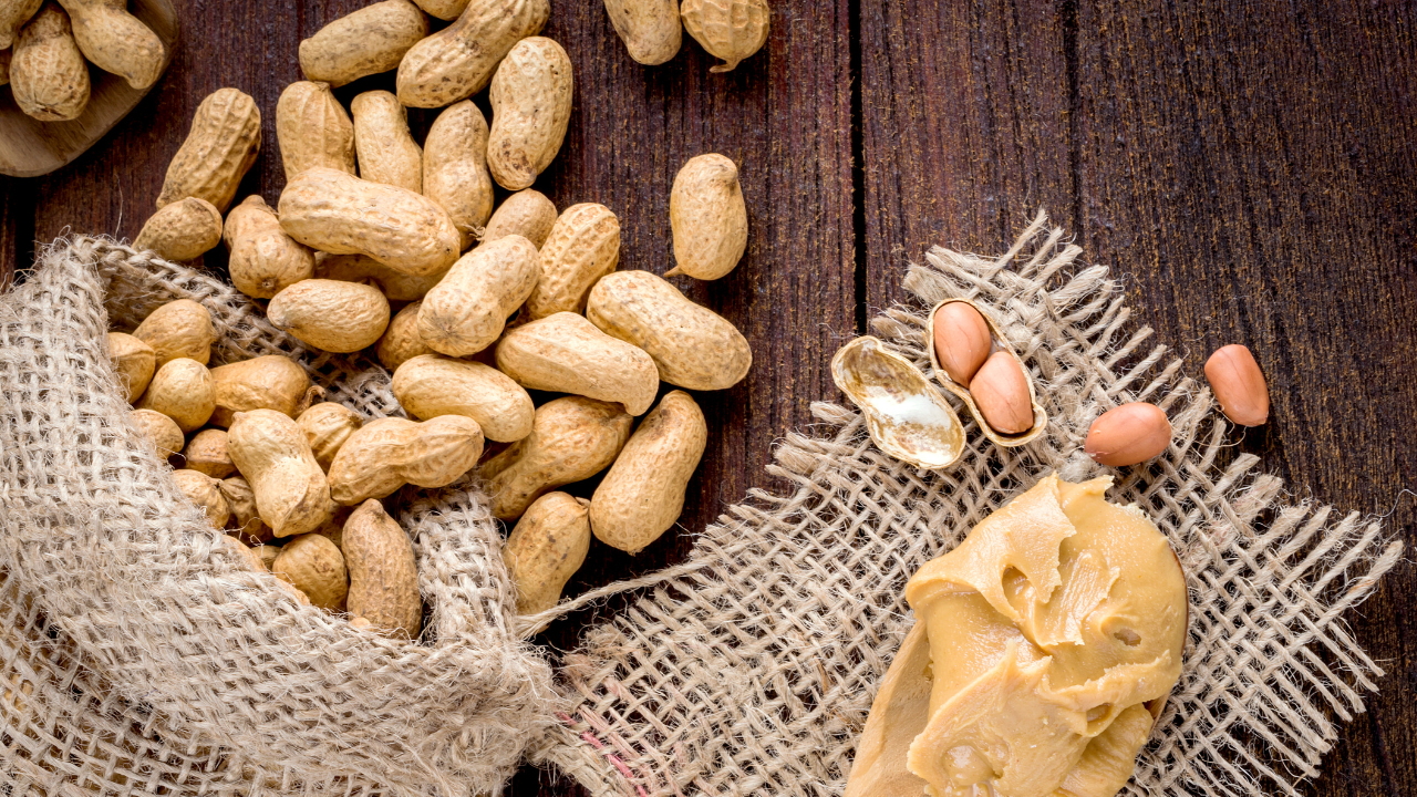 Peanuts Are Not Peas Or Nuts; Here What They Are Actually | Times Now