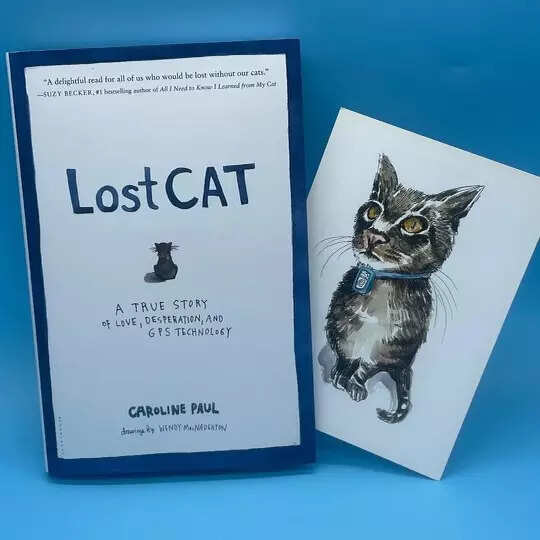 7 Books That Every Cat Lover Should Read | Times Now