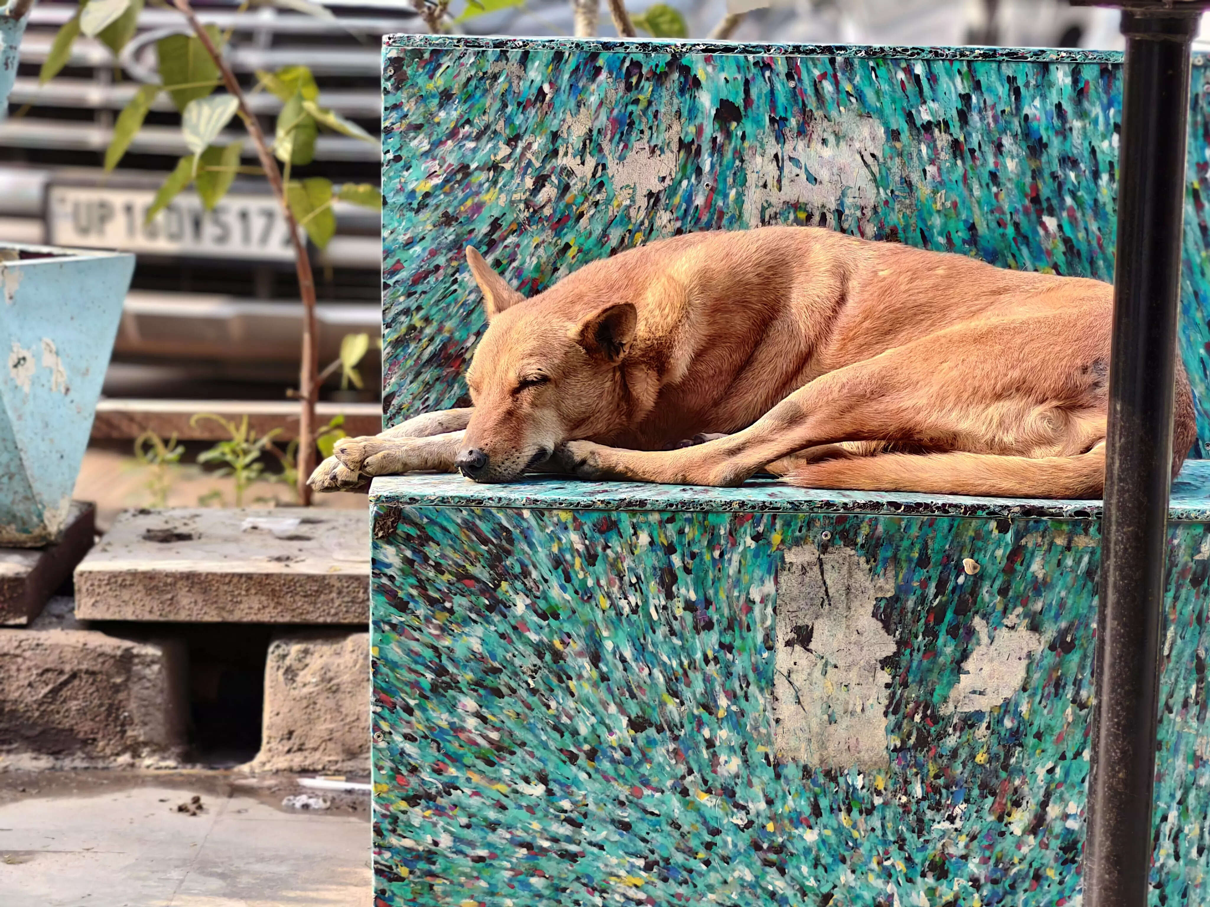 IQ00 13 Review: Specifications, Performance, Camera and Launch Price at ...