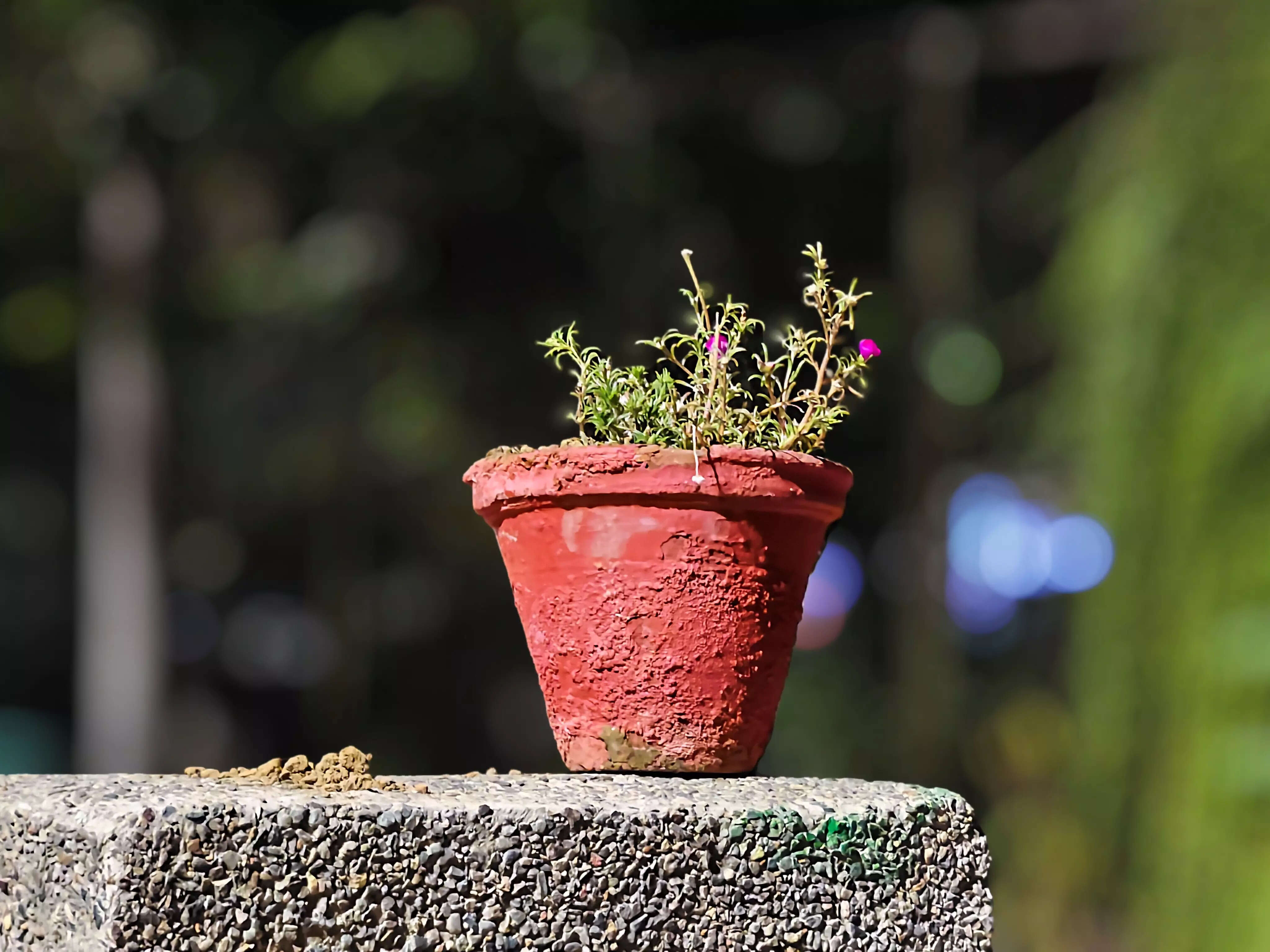 IQ00 13 Review: Specifications, Performance, Camera and Launch Price at ...