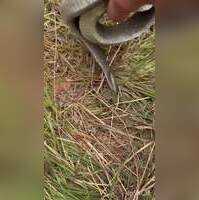 ET Now, ET Now Videos, ET Now Shows Videos