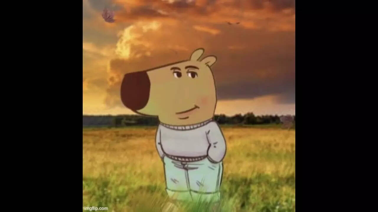 Chill Guy to Moo Deng: Top 5 Memes of 2024 | Times Now