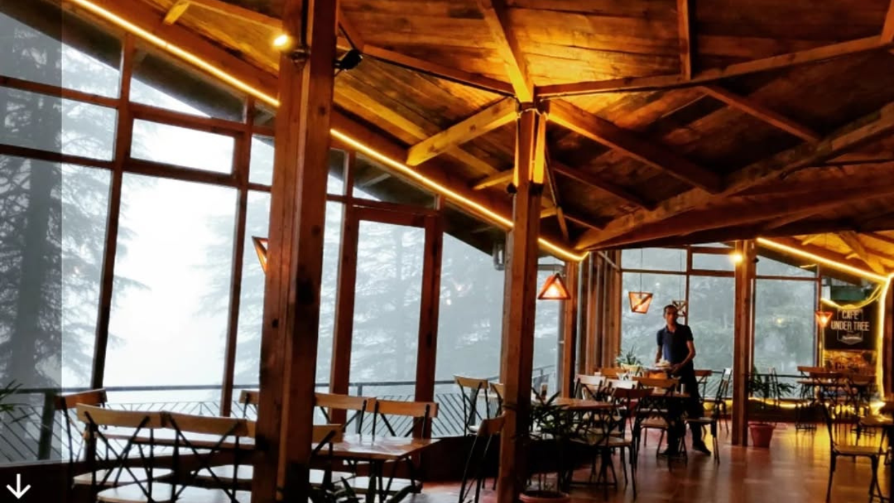 Shimla Gets Season's First Snowfall, Here's 7 Best Cafes To Visit For ...