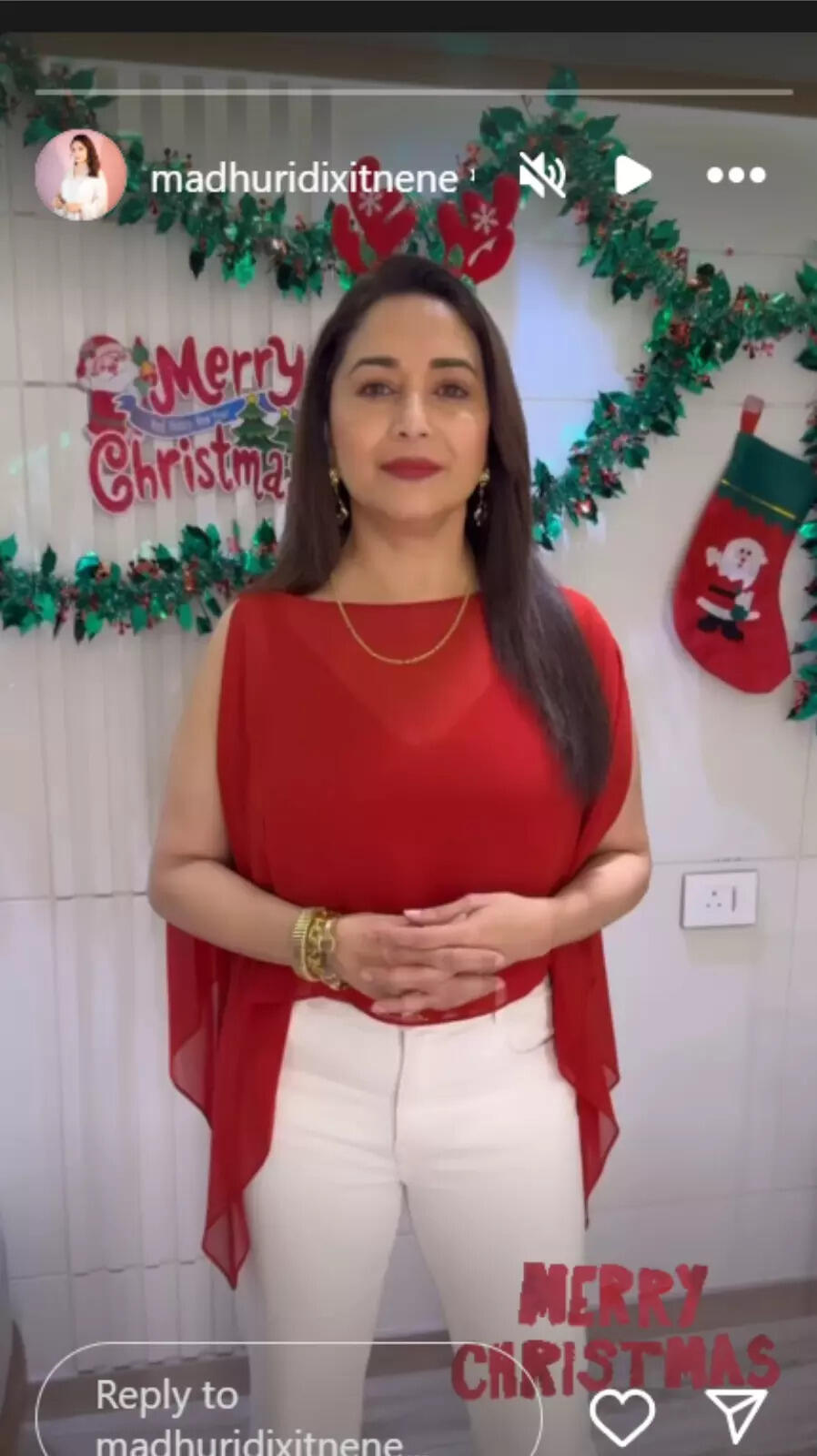 Merry Christmas 2024: Allu Arjun, Anushka Sharma Madhuri Dixit, Bhumi ...