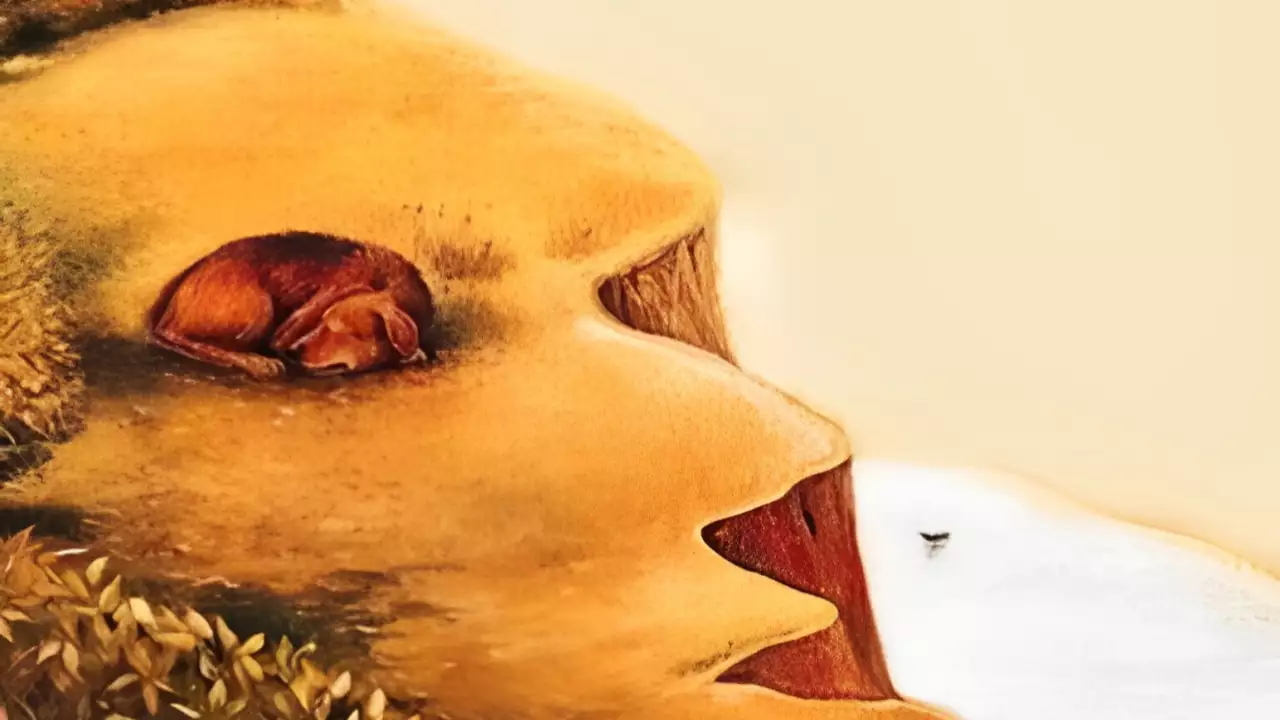 10 Most Viral Optical Illusions That'll Reveal About Your Thinking ...