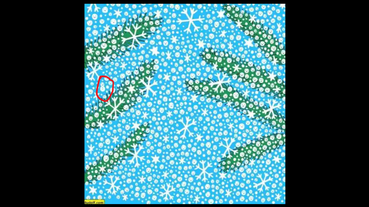 Optical Illusion: Spot The Snowman In The Picture! You Only Have 10 ...