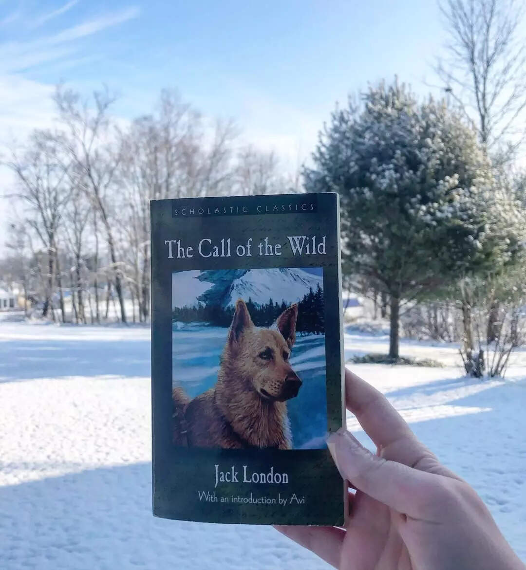 Easy To Read Classics: 10 Classic Books You Can Actually Finish and ...
