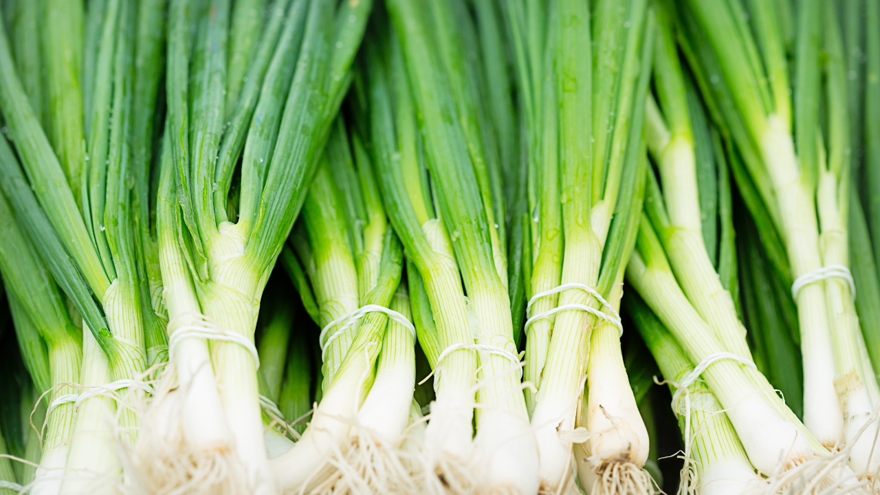 Spring Onion Vs. Onion Flower Stalk: Are These Greens Different ...