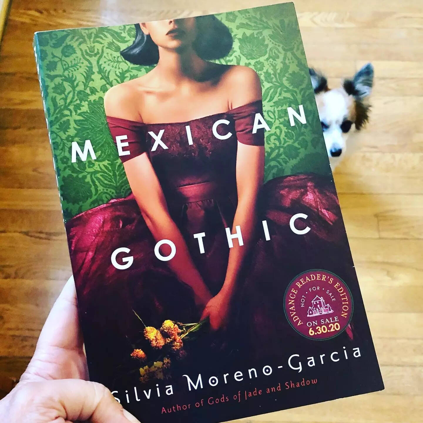 8 Riveting Spy Novels within Small-Town Settings | Times Now