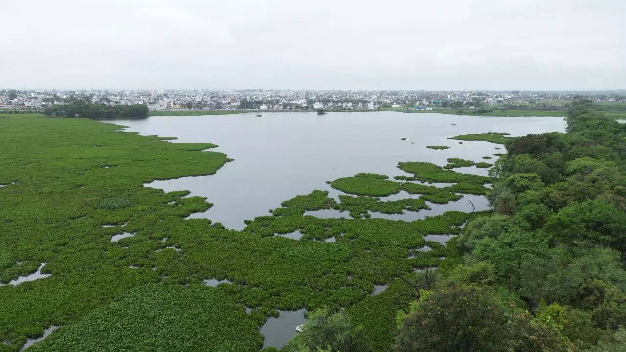Indore & Udaipur Make History As India’s First Wetland Accredited ...