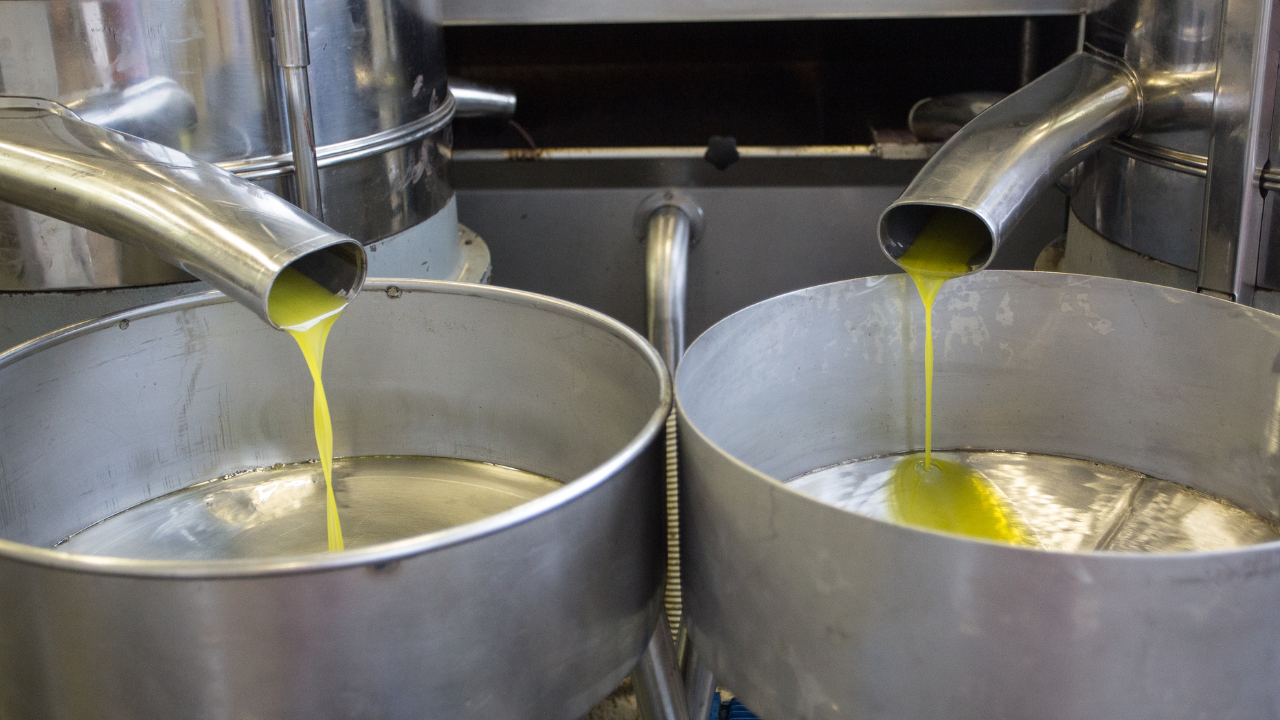 Extra Virgin Vs Cold-Pressed Oil: Do You Know The Difference Between ...