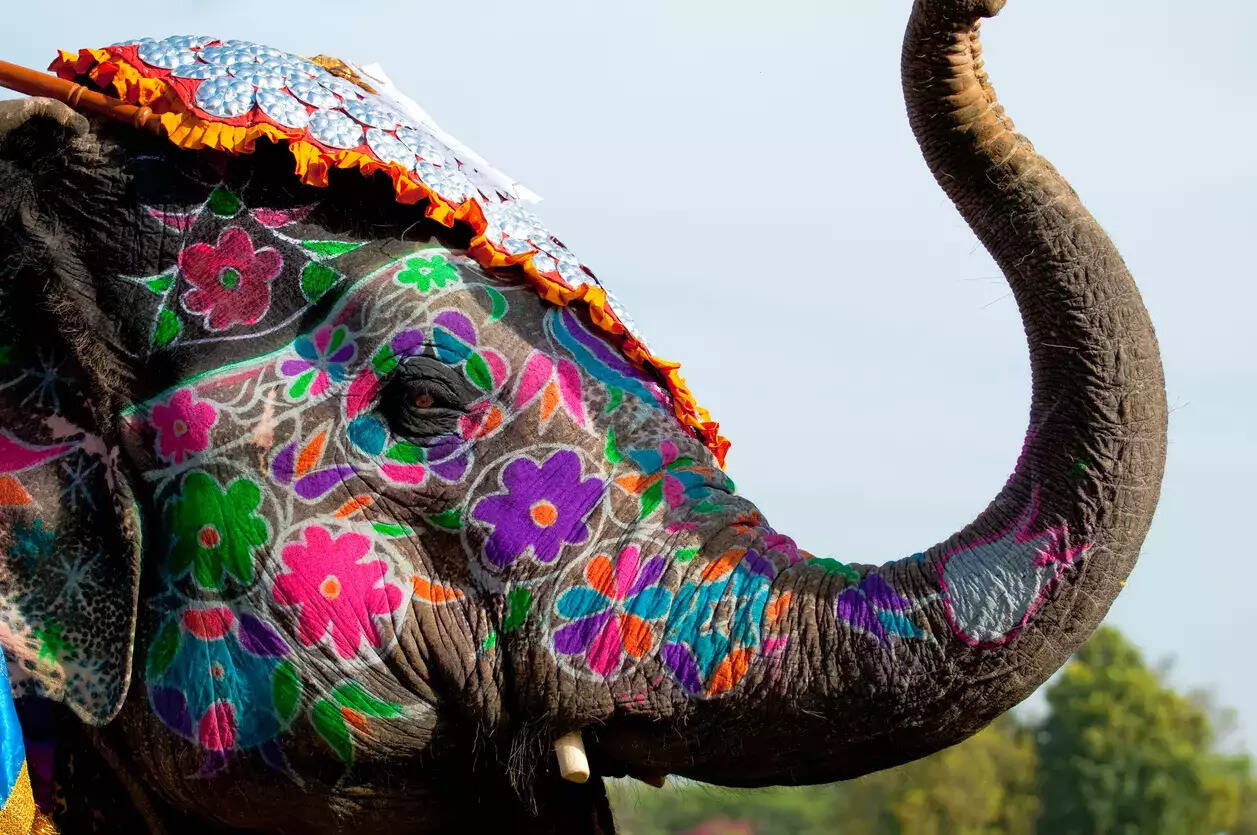 These Unique Holi Celebrations Across India Are A True Window To India ...