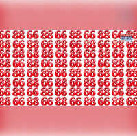 Optical Illusion Test: Can You Find An Animal Hidden In This Image ...