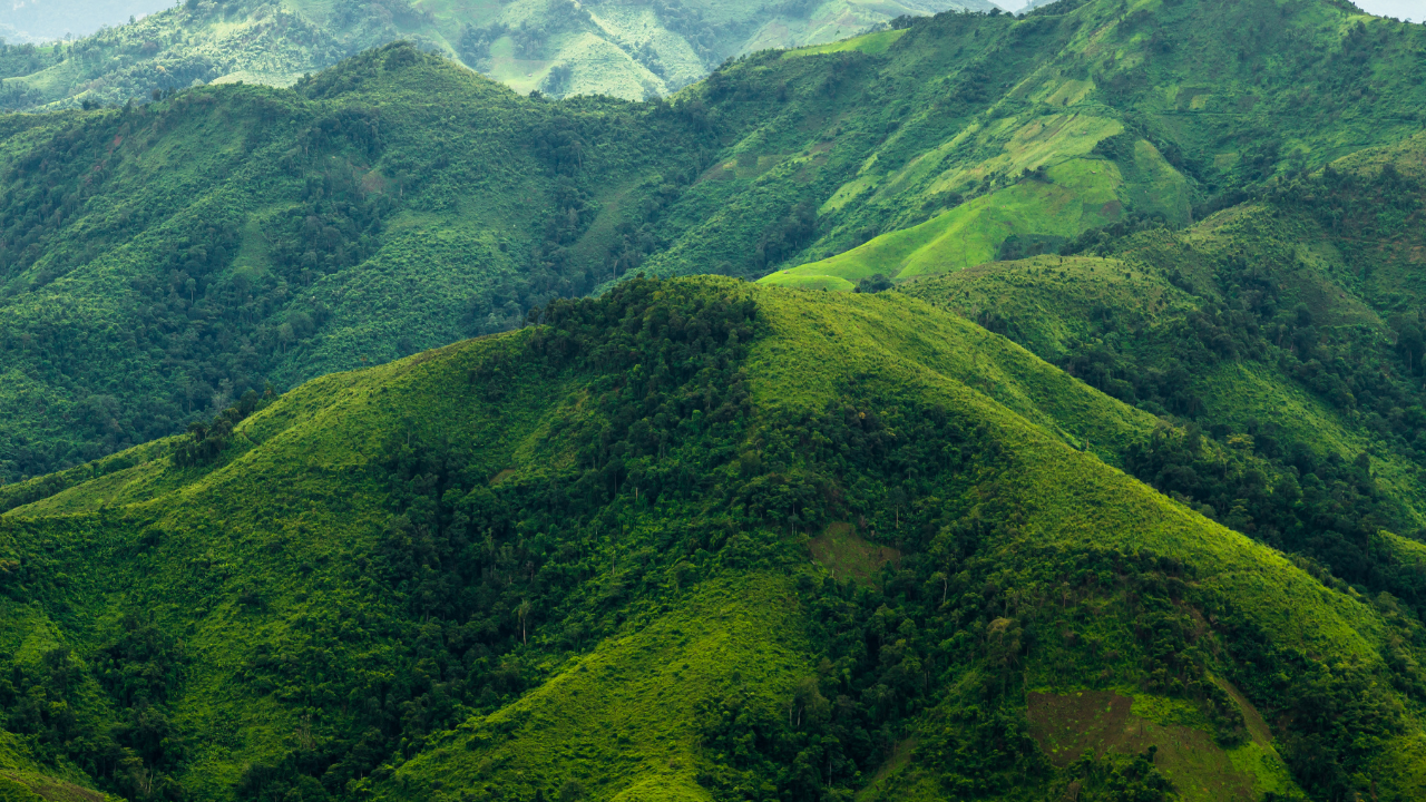 8 Less Crowded Spots In Tamil Nadu For A Peaceful Getaway