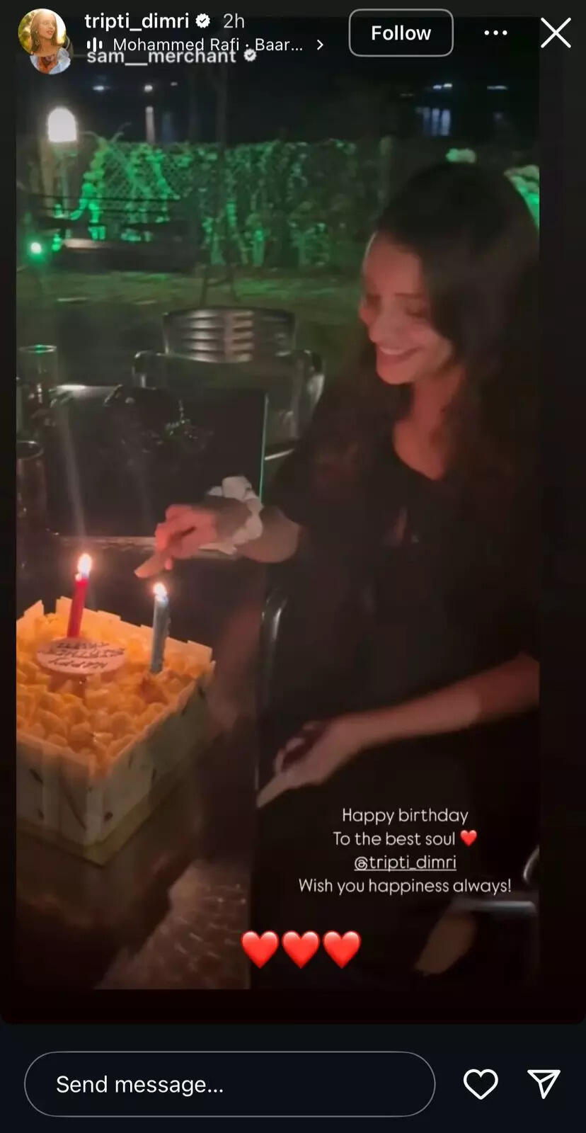 Triptii Dimri Shares Video Celebrating 31st Birthday With Rumoured Beau ...