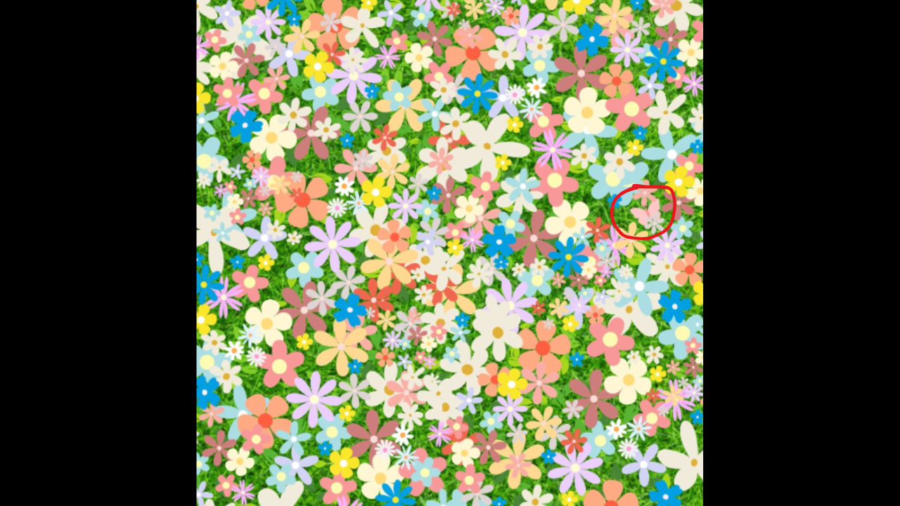 Optical Illusion: Among The Bed Of Flowers, Spot The Beautiful ...