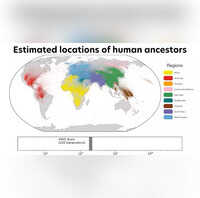 World's largest family tree links 27 million people