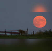 Moon illusion | Why does the moon look bigger on the horizon? Here are ...