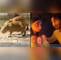 US zoo names capybara babies after 'Encanto' movie's beloved characters