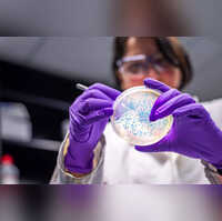 Salmonella infection: What is it and how can you prevent it?