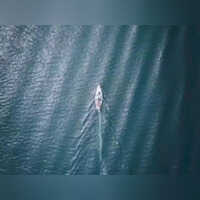 Optical illusion: Can you tell what's really happening in this mind ...