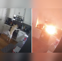 Pet dog activates stove and starts house fire; incident gets caught on ...