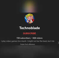 Popular Minecraft YouTuber Technoblade passes away after battle with cancer