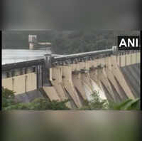 Mumbai's Modak-Sagar Lake overflows amid heavy rainfall-video