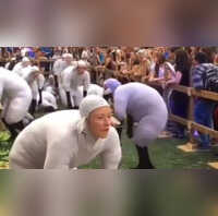 Humans dressed as sheep and making 'baa baa' sounds is the weirdest ...