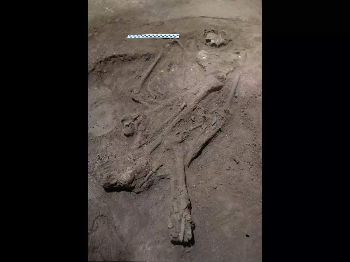 31,000-year-old skeleton is the earliest known evidence of amputation ...