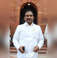 Tamil Nadu BJP leader held for 'threatening' DMK's A Raja