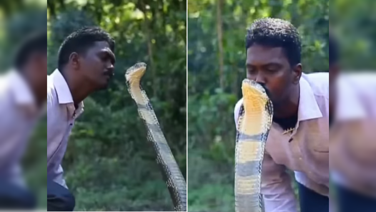 Viral video: Legendary snake catcher from Kerala kisses cobra on the ...