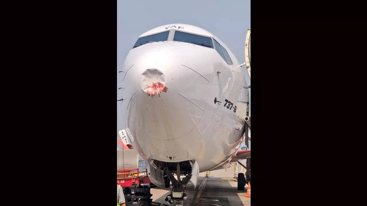 Akasa Air Ahmedabad to Delhi flight suffers bird strike, sustains ...