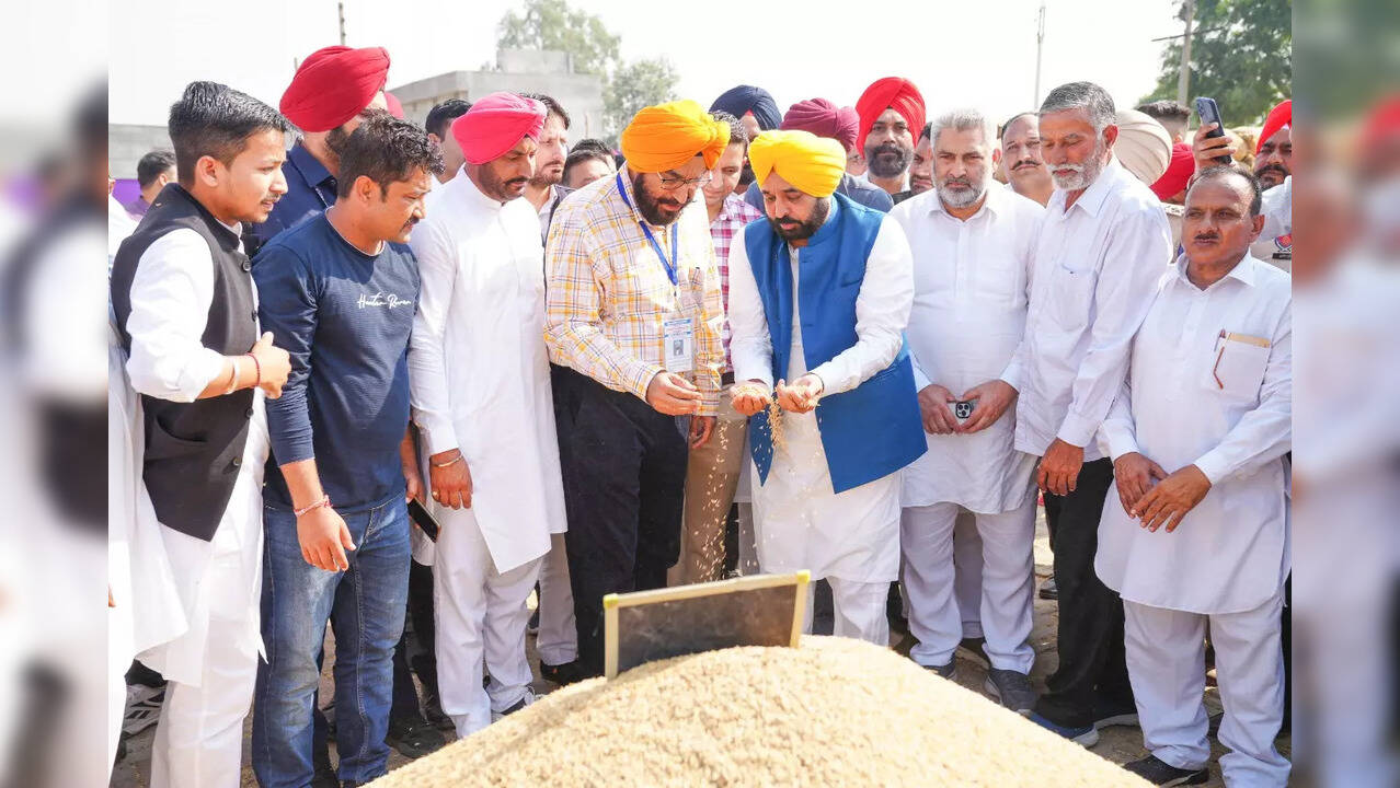 110 lakh metric ton paddy procured, payment worth Rs 18,660 crore made ...