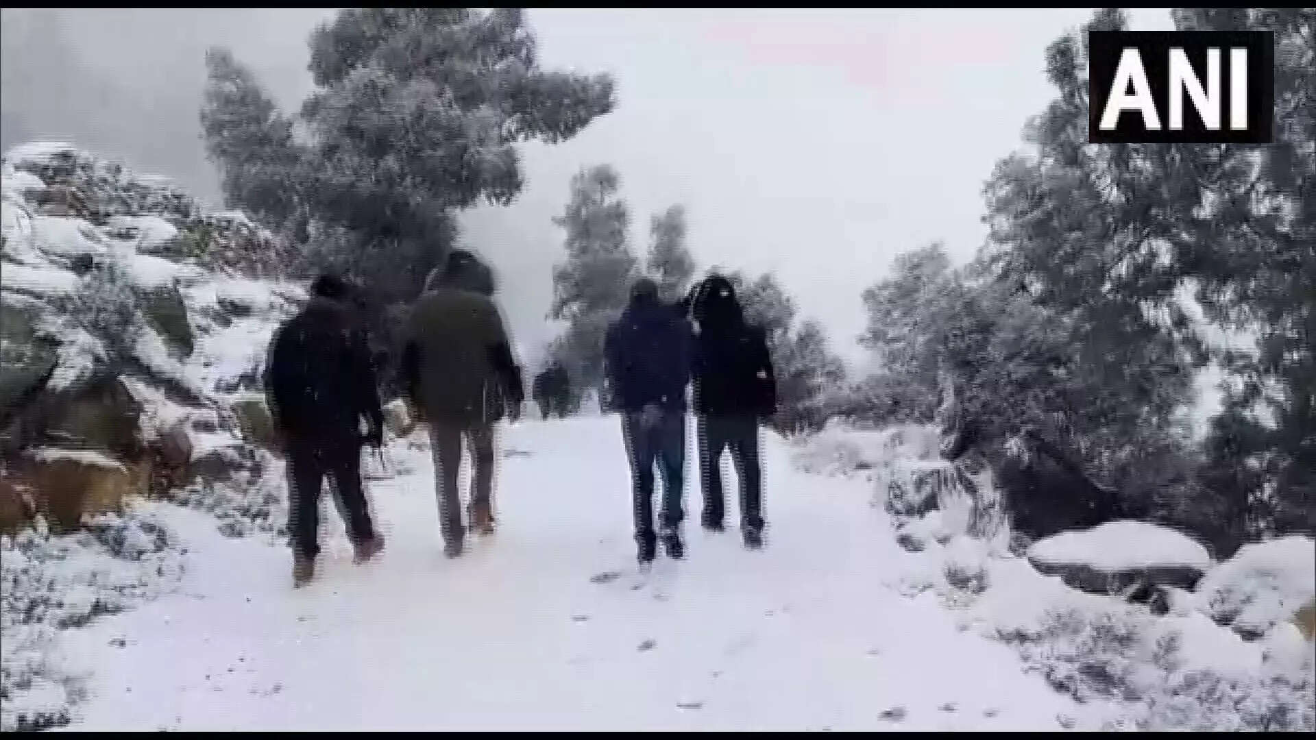 Chamba, Una, Shimla, Chopal Himachal Pradesh Weather Update Today ...