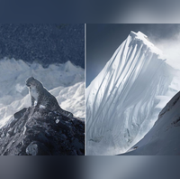 Wildlife photographer treks 165 km in Nepal to capture stunning images ...