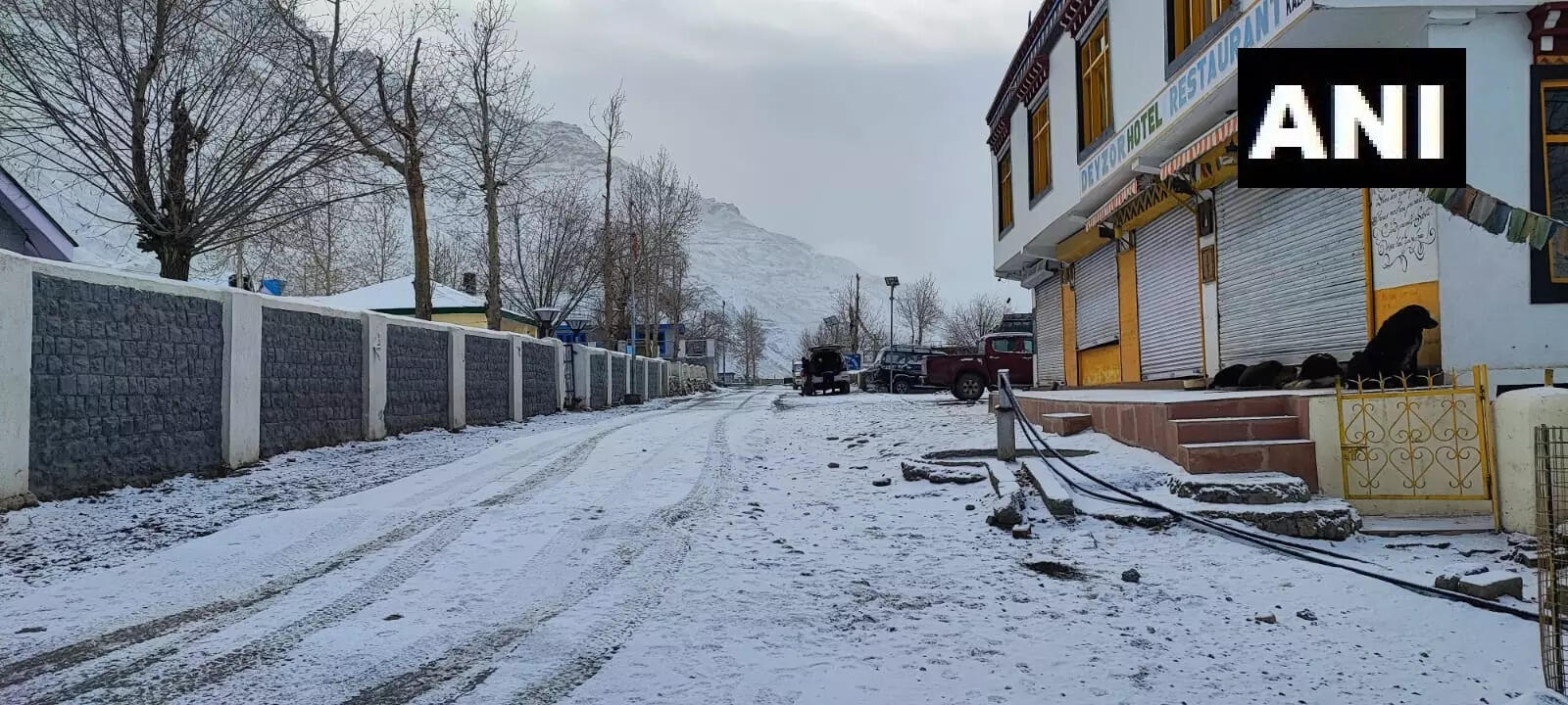 Manali weather update: Fresh snowfall brings joy to tourists, adds to ...