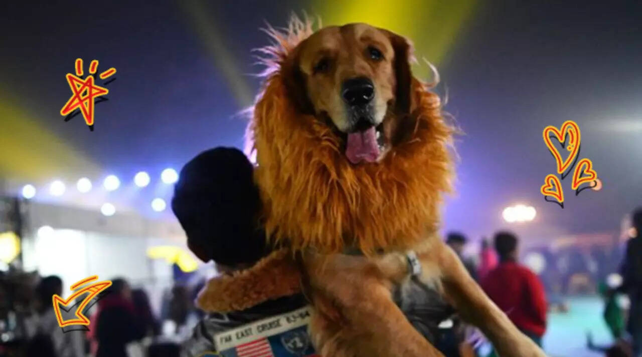 Pet lovers, get ready; India's biggest pet carnival is happening this ...