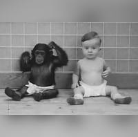 In 1931, a baby and a chimp were raised together as part of a bizarre ...