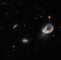 Hubble captures unusual galaxy merger in ancient universe