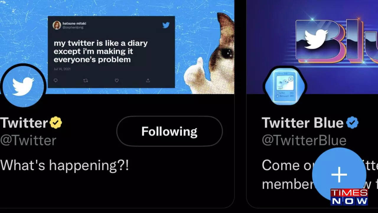 Twitter Blue: Twitter Blue officially launched with golden ticks and ...