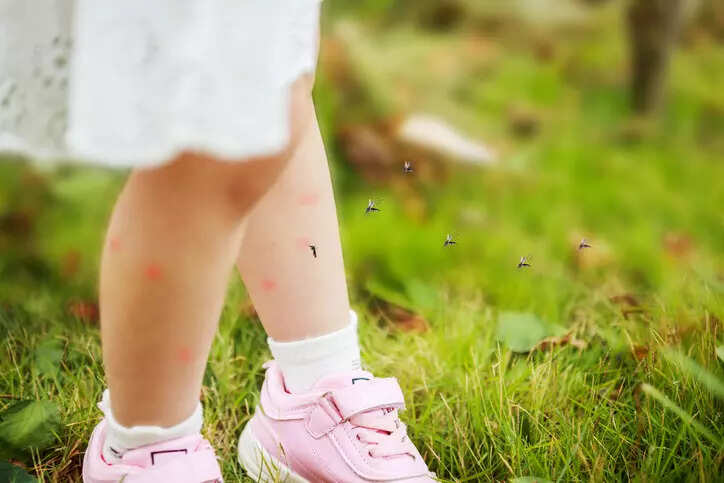 Zika virus in Karnataka: First case of Zika virus in 5-year-old girl ... Zika virus in Karnataka: First case of Zika virus in 5-year-old girl ...