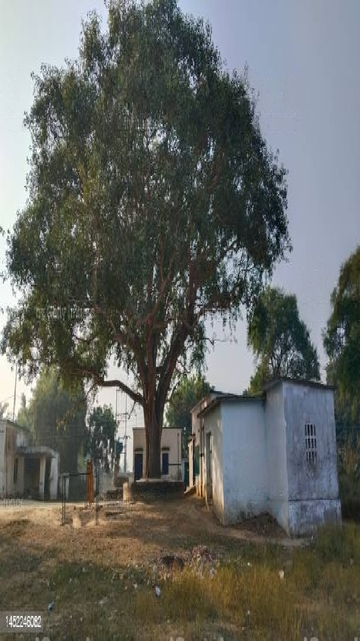 Joshimath: Its spiritual significance for Hindus and its sinking