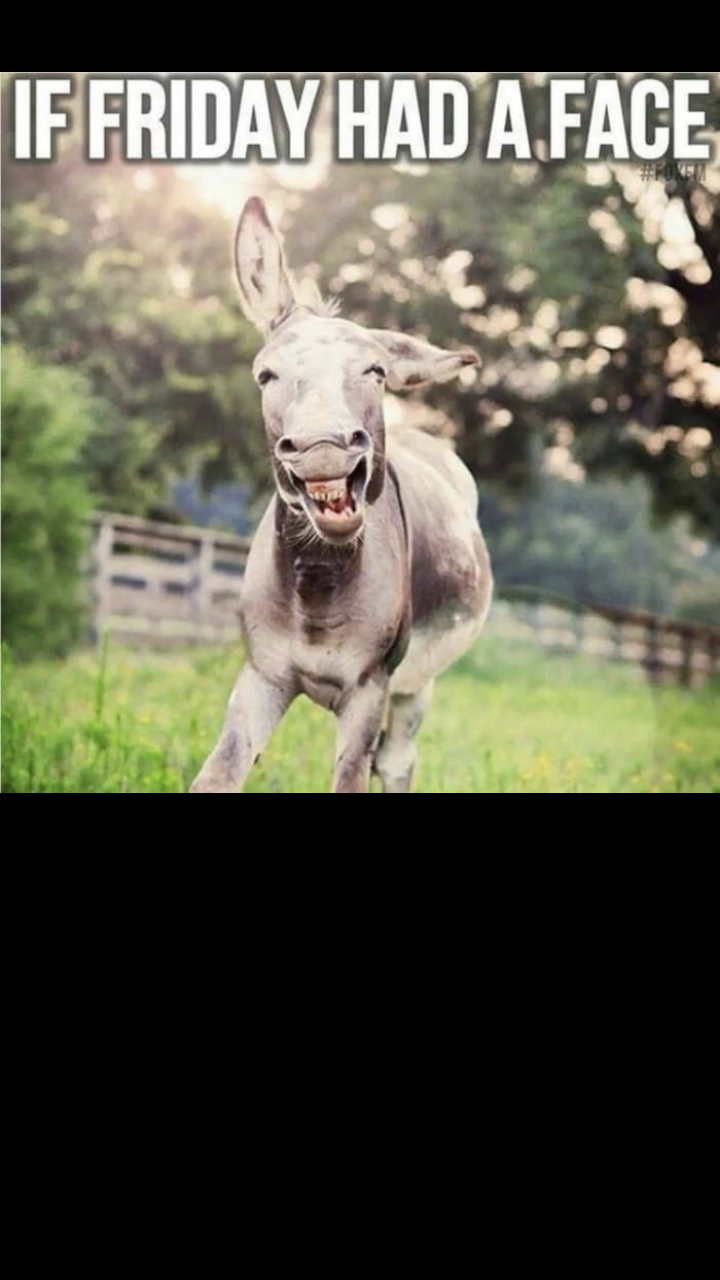 Good Morning Funny Good Morning Friday Wishes Memes To Start Your Weekend